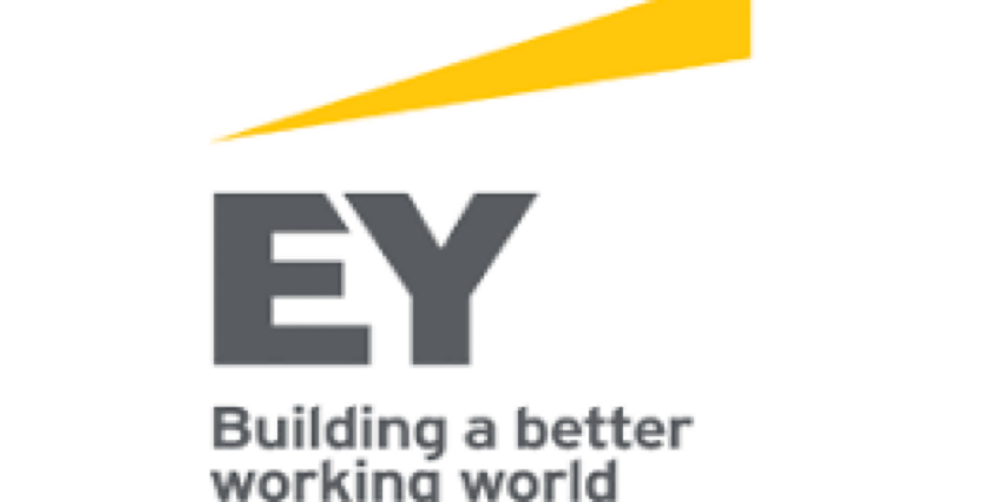 EY vet tech intern Reviews | Glassdoor