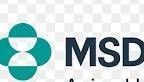 MSD Reviews in Pune | Glassdoor