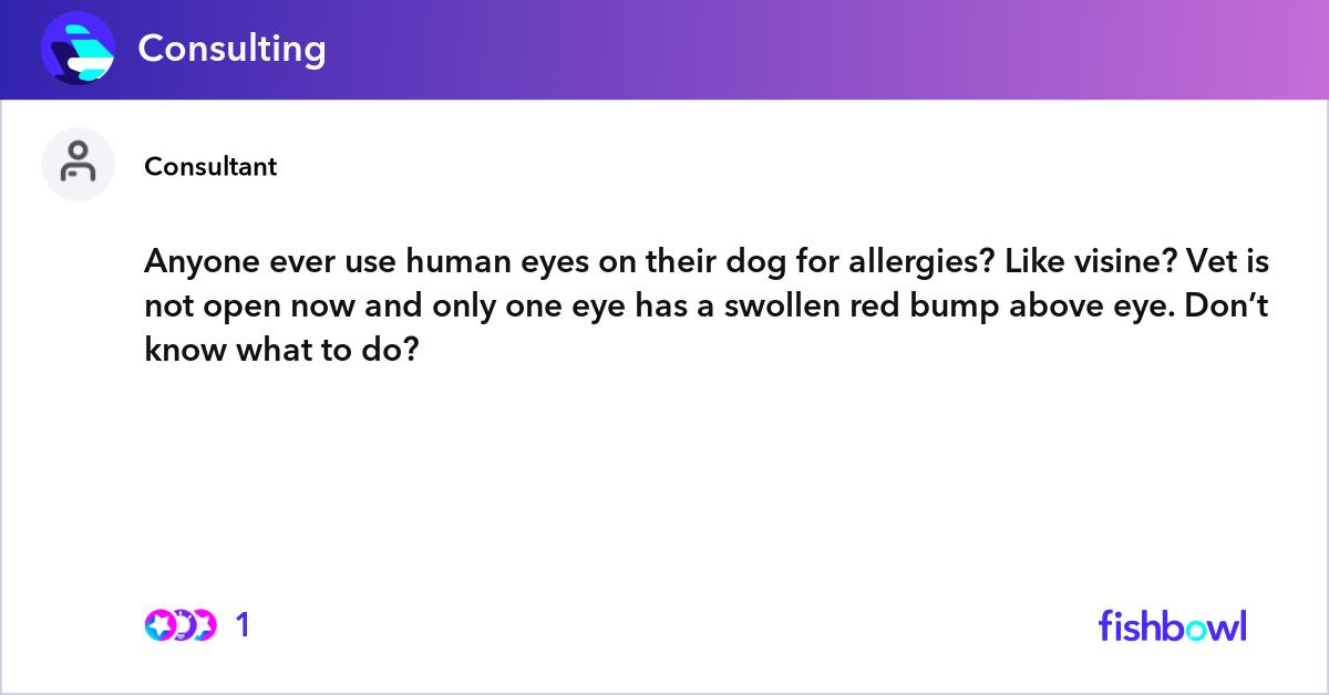 Anyone ever use human eyes on their dog for allerg... | Fishbowl