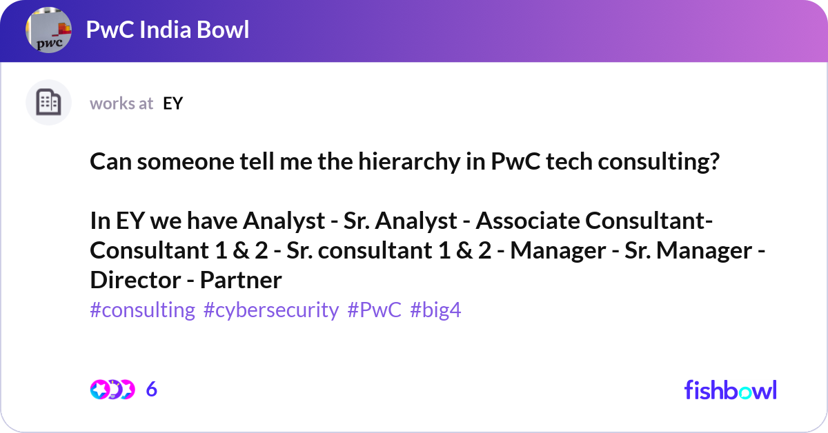 Can someone tell me the hierarchy in PwC tech cons... | Fishbowl