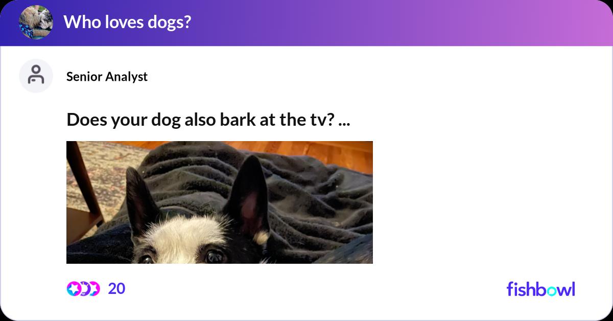 Does your dog also bark at the tv? Things Cooper... | Fishbowl