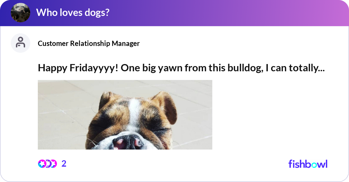 Happy Fridayyyy! One big yawn from this bulldog, I... | Fishbowl