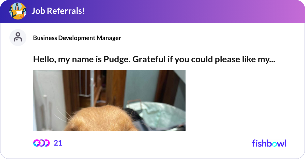 Hello, my name is Pudge. Grateful if you could ple... | Fishbowl