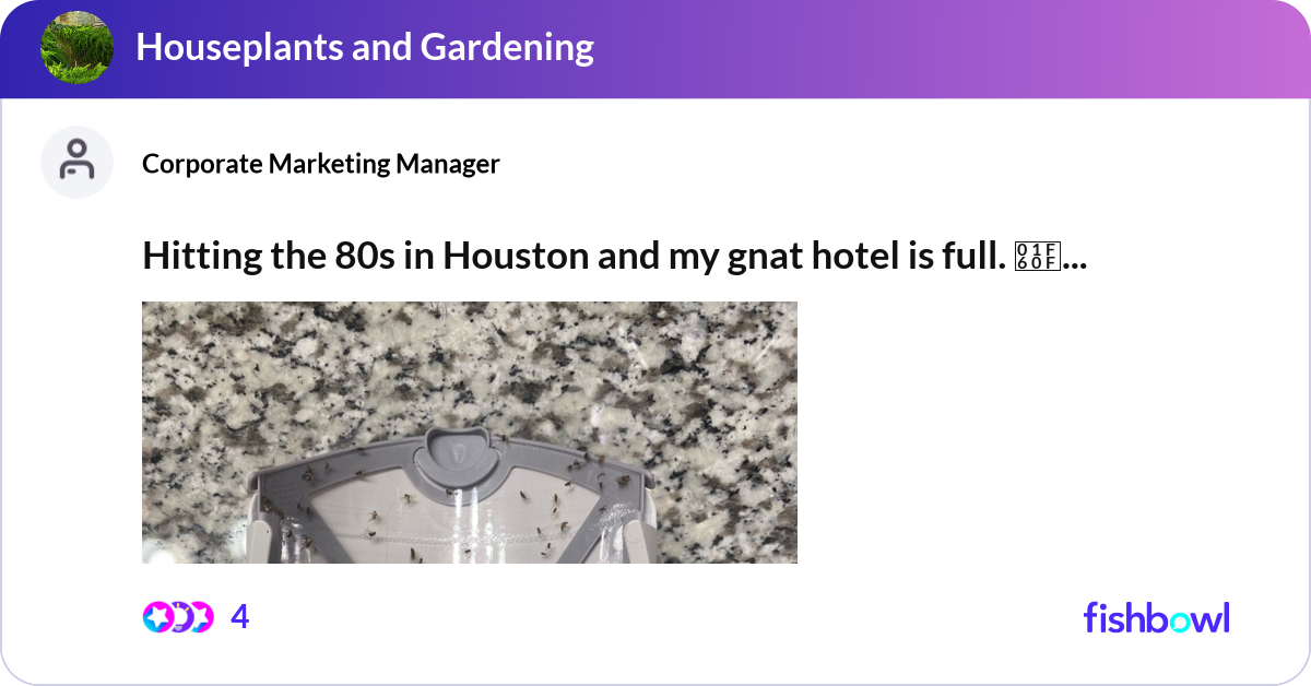 Hitting the 80s in Houston and my gnat hotel is fu... | Fishbowl