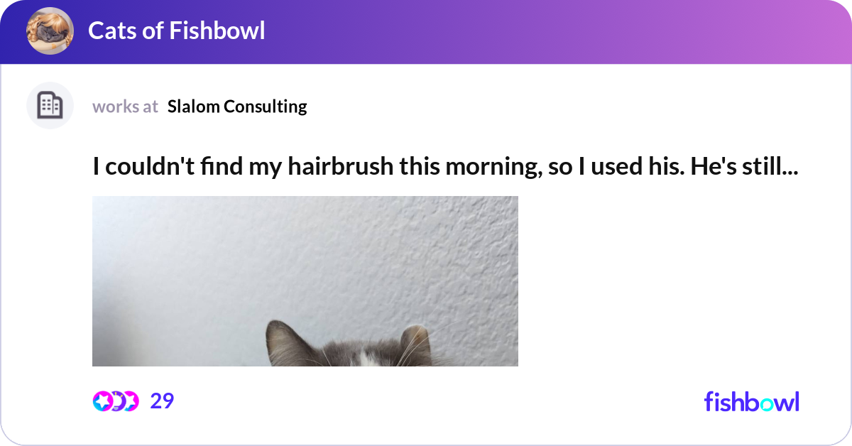 I couldn't find my hairbrush this morning, so I us... | Fishbowl
