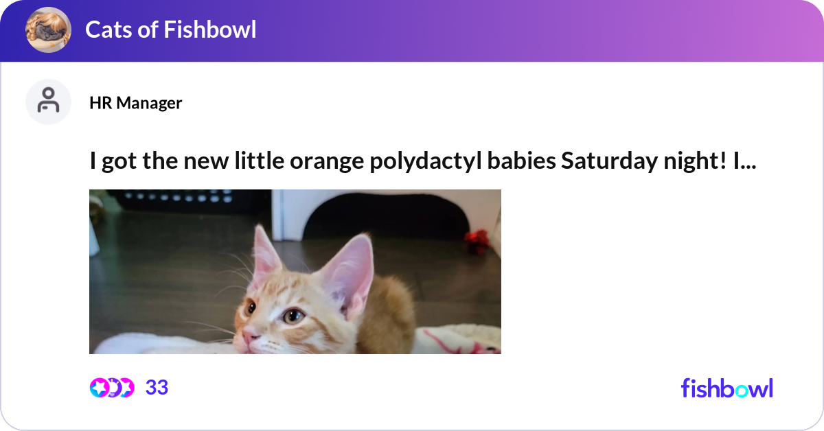 I got the new little orange polydactyl babies Satu... | Fishbowl