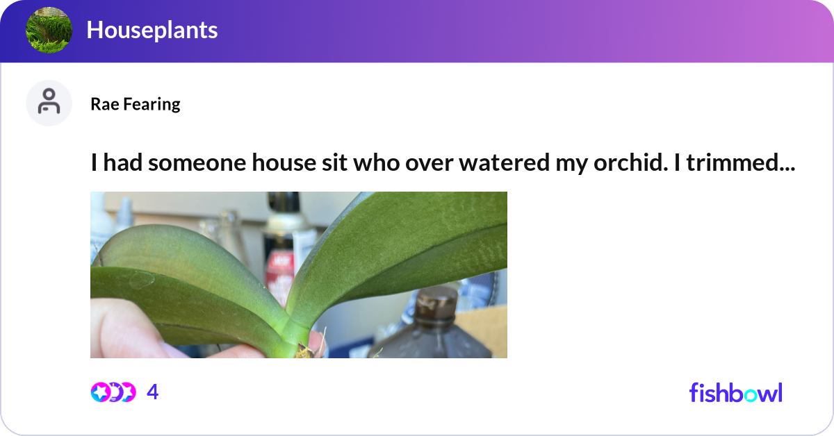 I had someone house sit who over watered my orchid... | Fishbowl