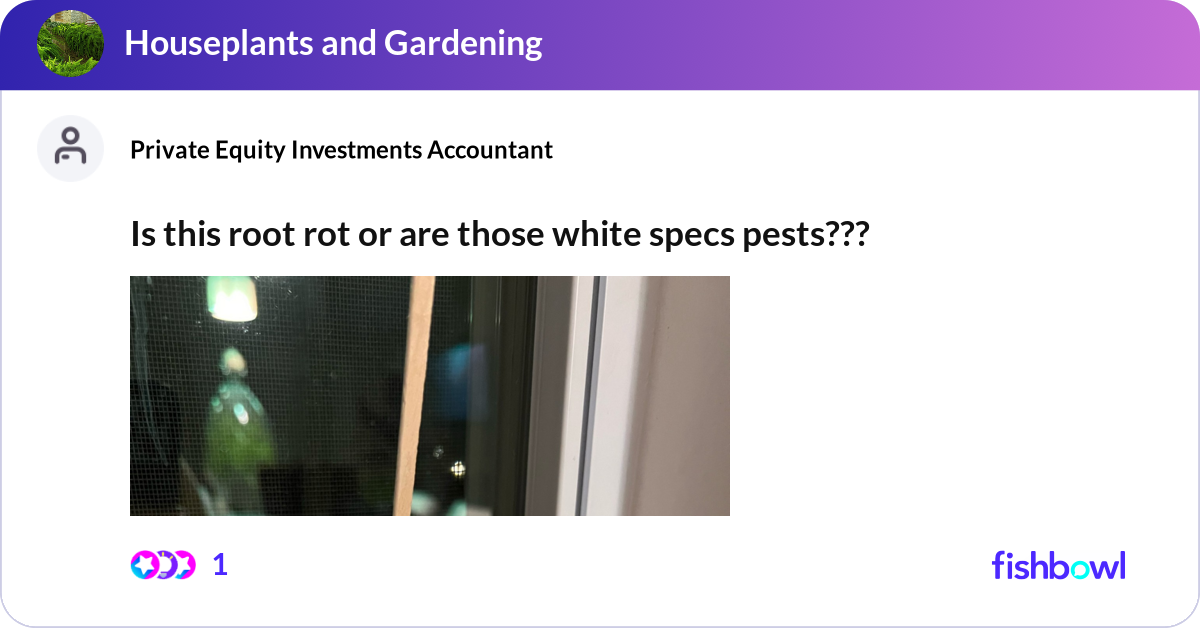 Is this root rot or are those white specs pests???... | Fishbowl