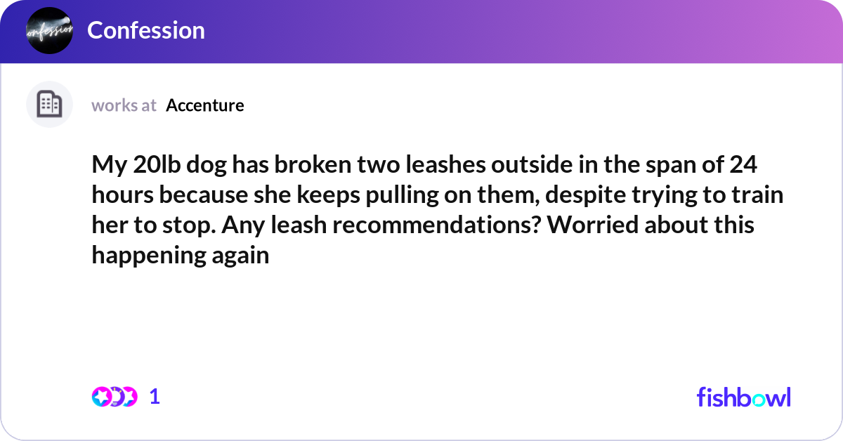My 20lb dog has broken two leashes outside in the ... | Fishbowl