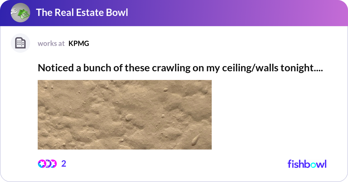 Noticed a bunch of these crawling on my ceiling/wa... | Fishbowl