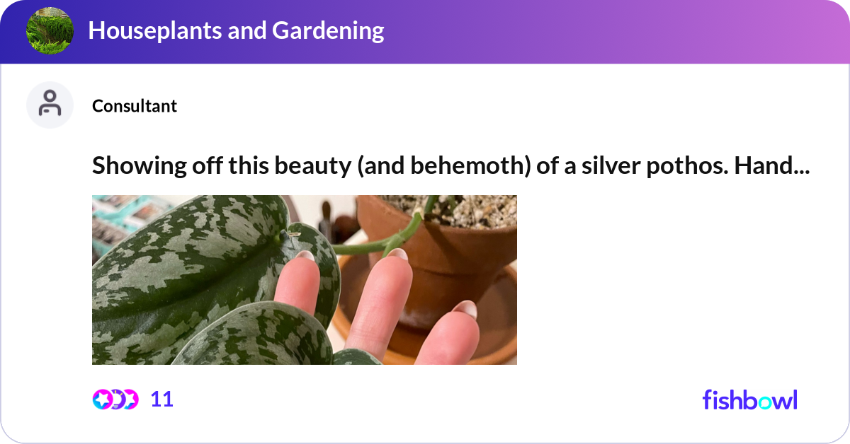 Showing off this beauty (and behemoth) of a silver... | Fishbowl