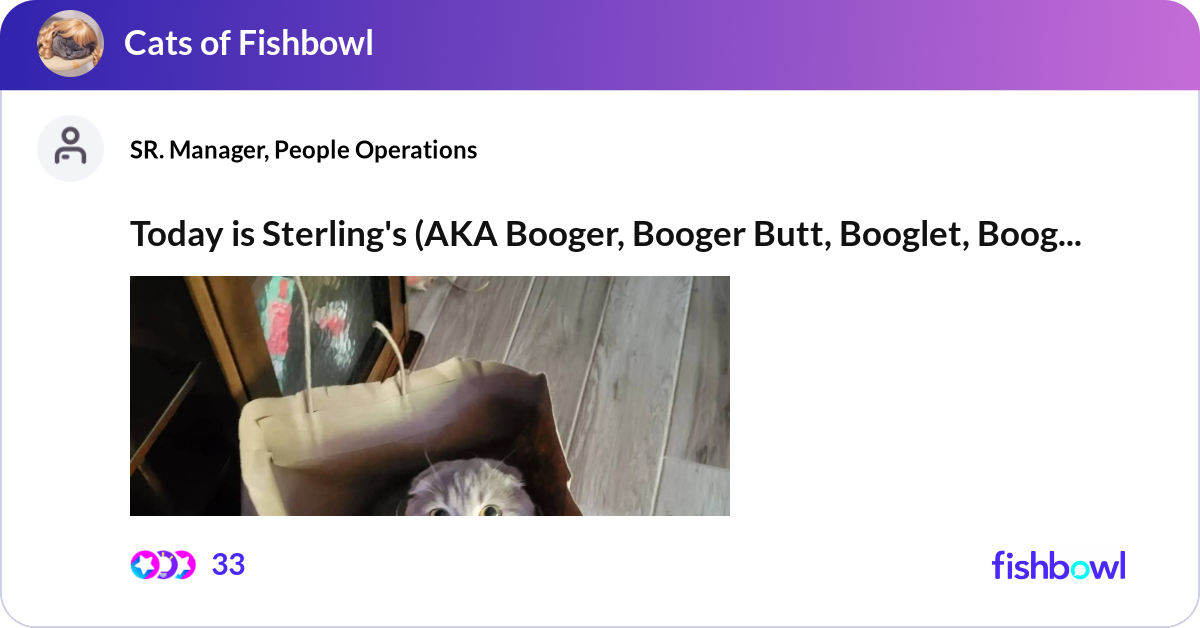 Today is Sterling's (AKA Booger, Booger Butt, Boog... | Fishbowl