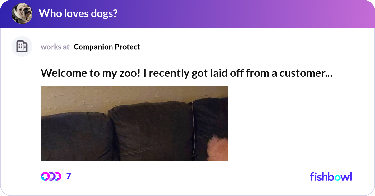 Welcome to my zoo! I recently got laid off from a ... | Fishbowl