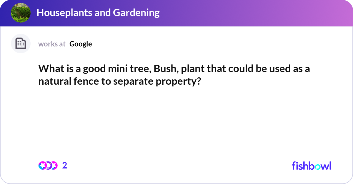 What is a good mini tree, Bush, plant that could b... | Fishbowl