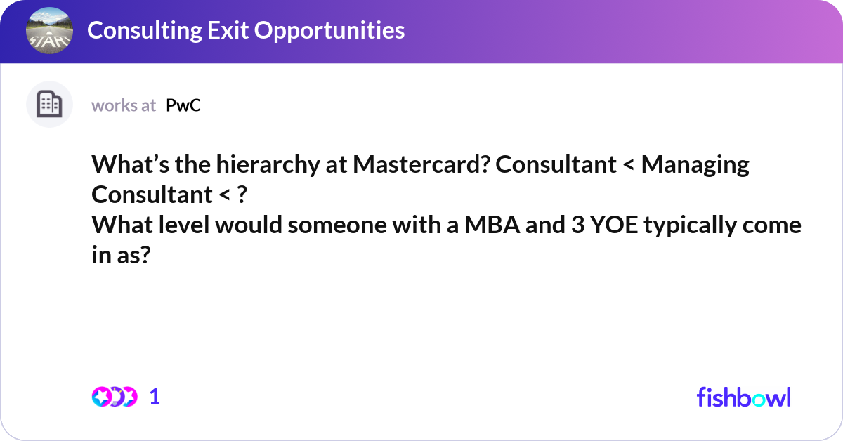 What’s the hierarchy at Mastercard? Consultant