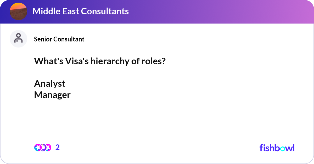 What's Visa's hierarchy of roles? Analyst Manage... | Fishbowl