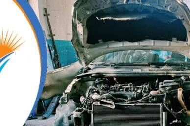 I didn’t arrive in Cebu with a checklist—no “top 1... | Fishbowl