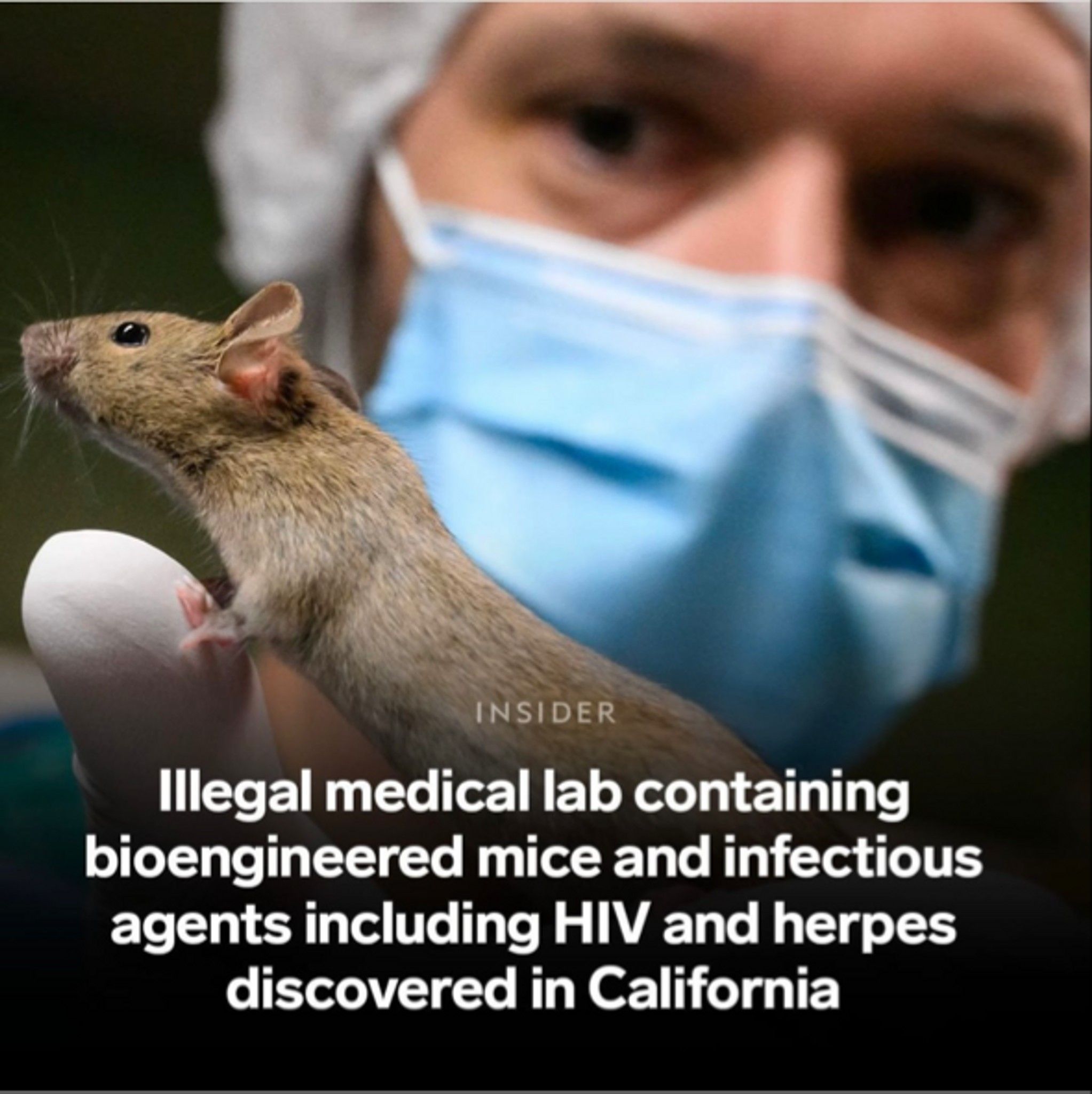 An illegal medical lab was discovered by investiga... | Fishbowl
