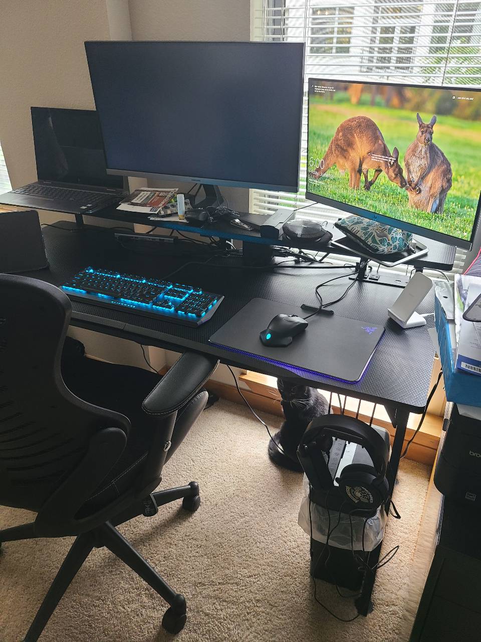 Let’s see your WFH workstation setup! | Fishbowl