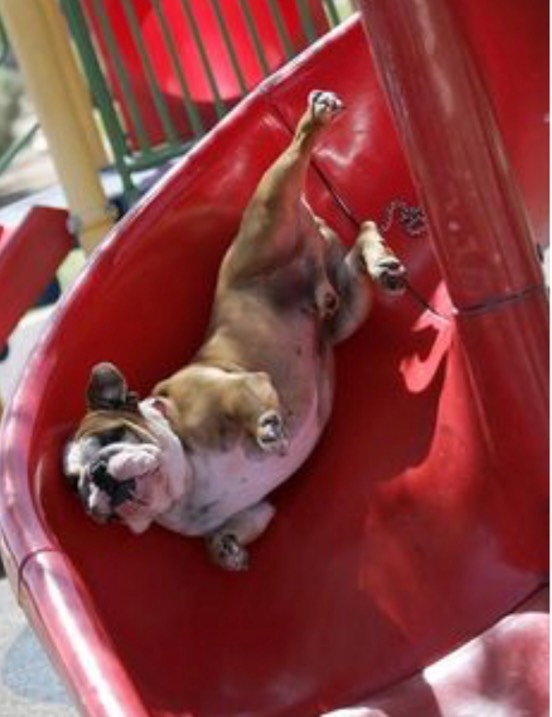 Torn. Spider plus sloth? | Glassdoor Forum