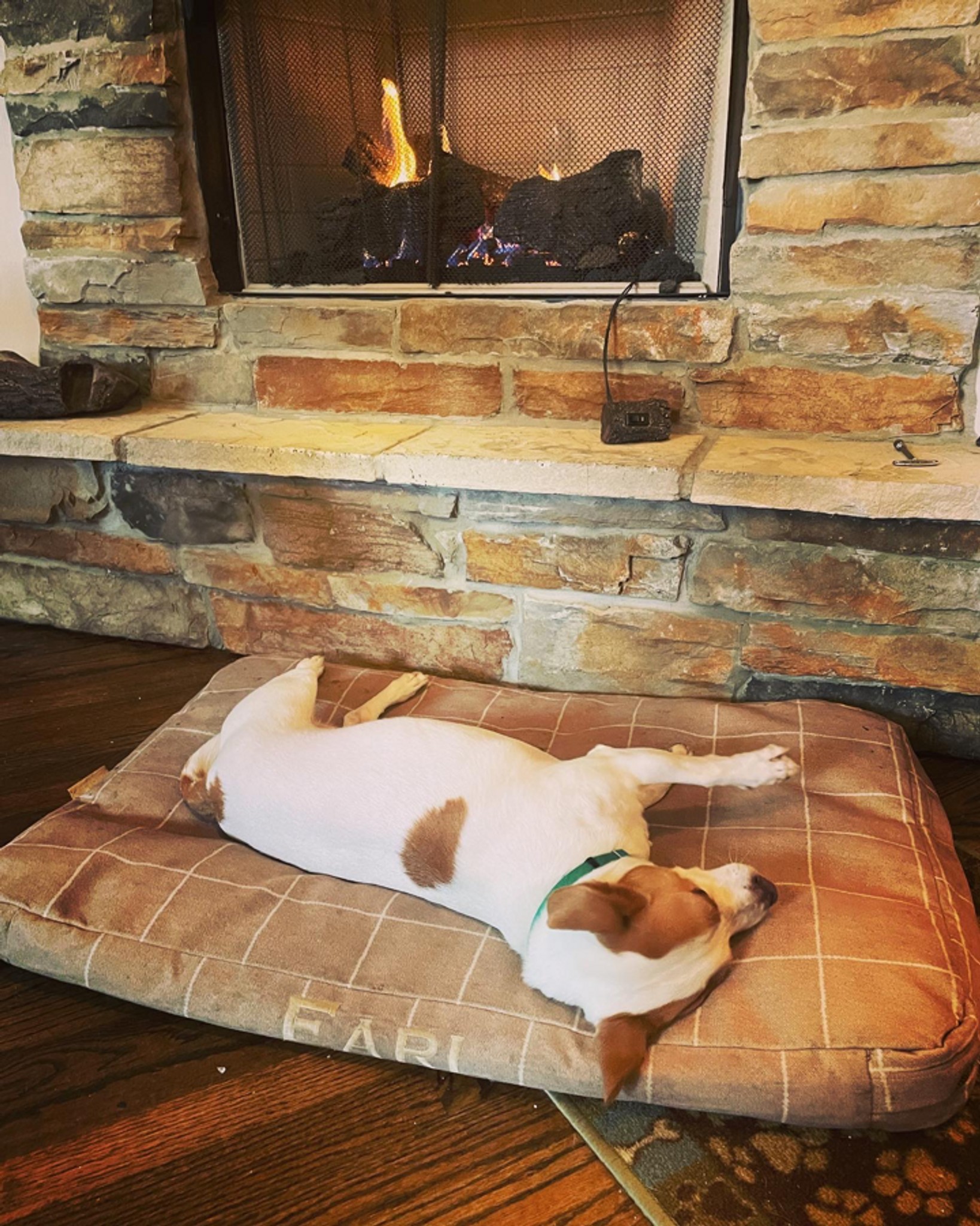 I've received an offer letter from a company from Internshala which idk ...