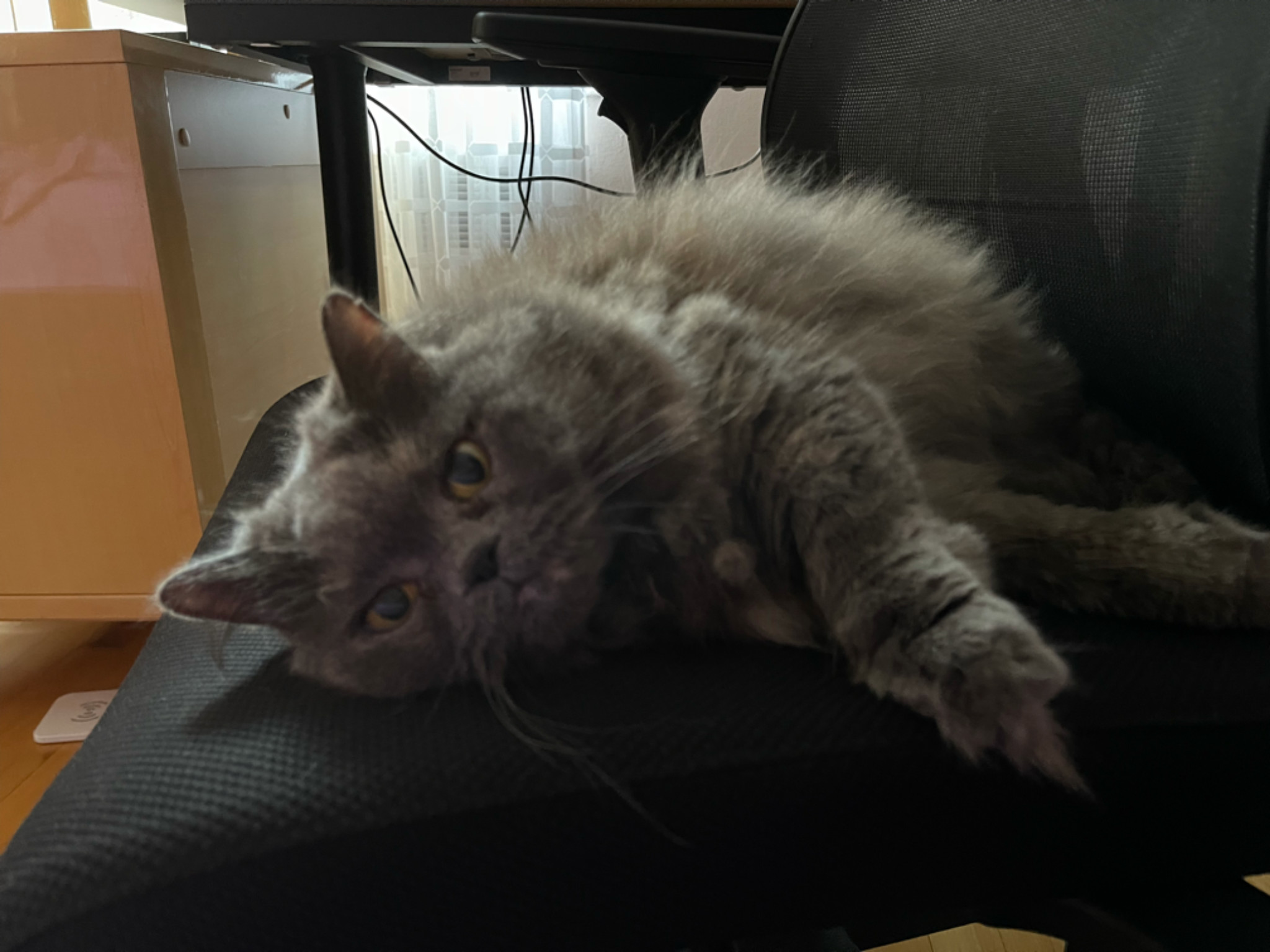 Was feeling extremely drained by work this busy season, so my husband ...