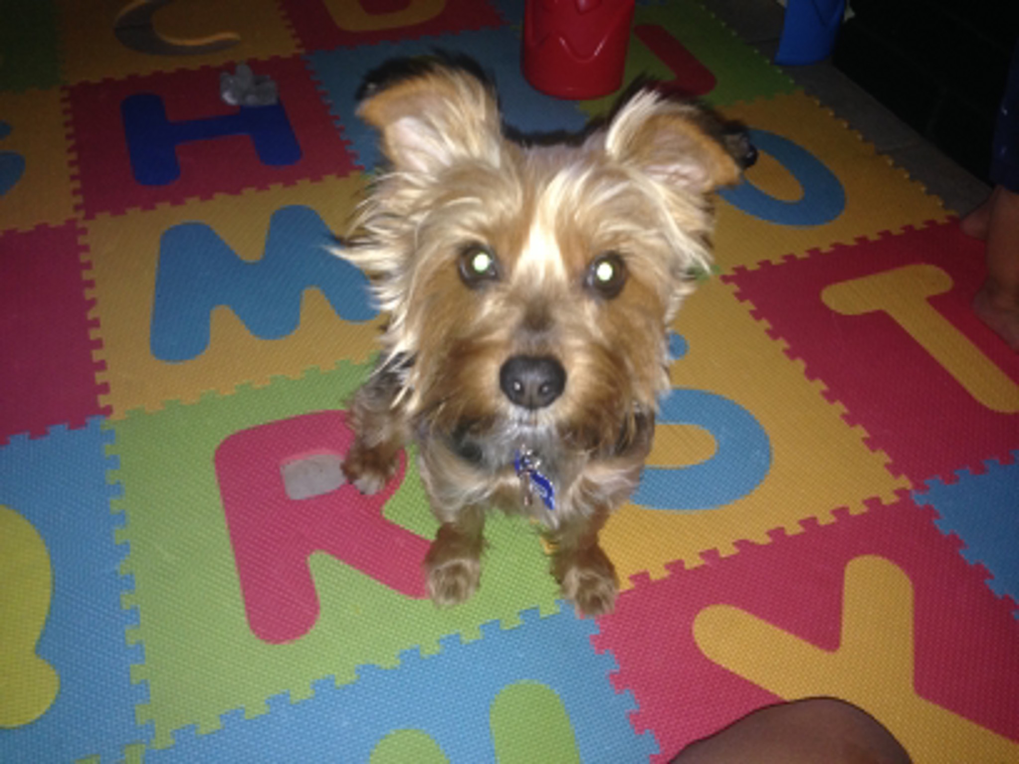 What is Bench type - future bench ? And is it true... | Fishbowl