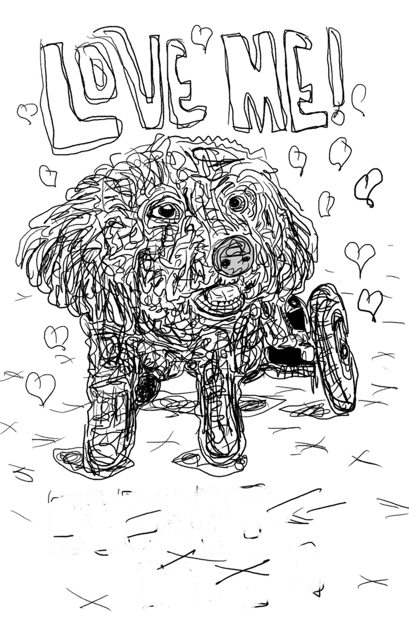 Here’s a raw sketch of tiny dog who lost the use o... | Fishbowl