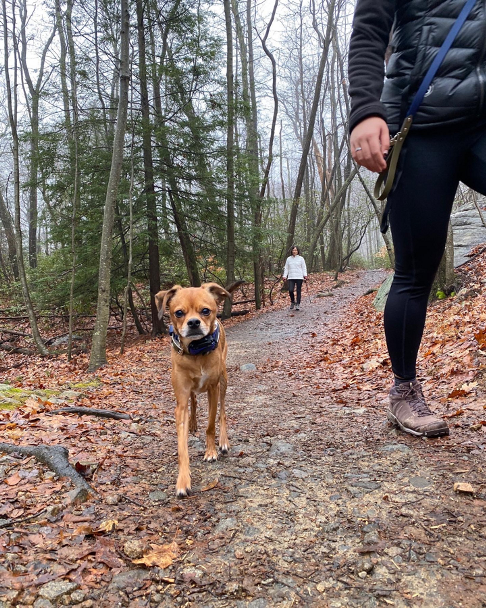 Best Accenture Song meme ever 😂 | Glassdoor