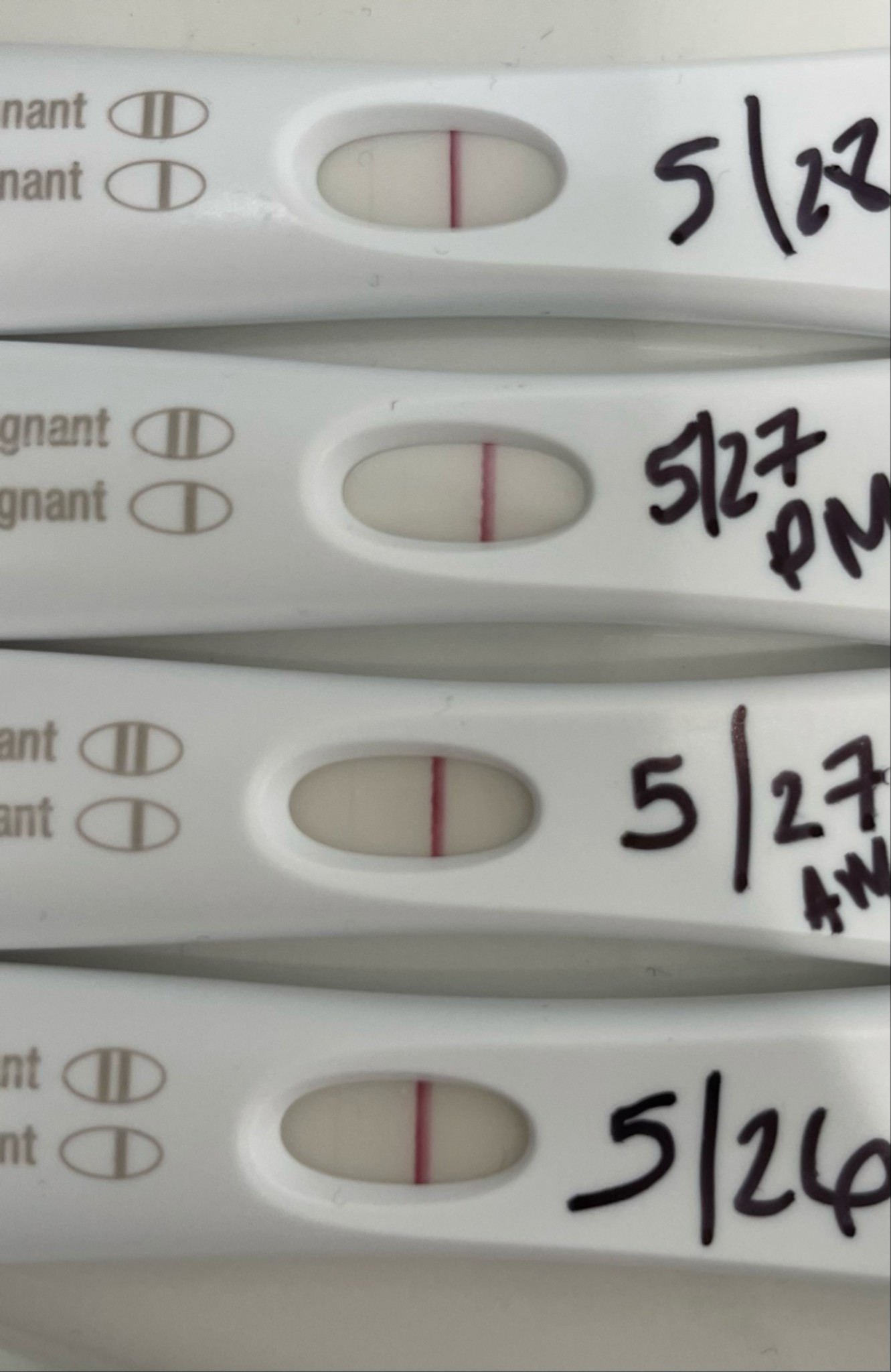 Please help me determine if these are just evap lines! 13 days out from ...