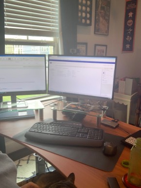 Everyone post your WFH setup! Include any tips/rec... | Fishbowl