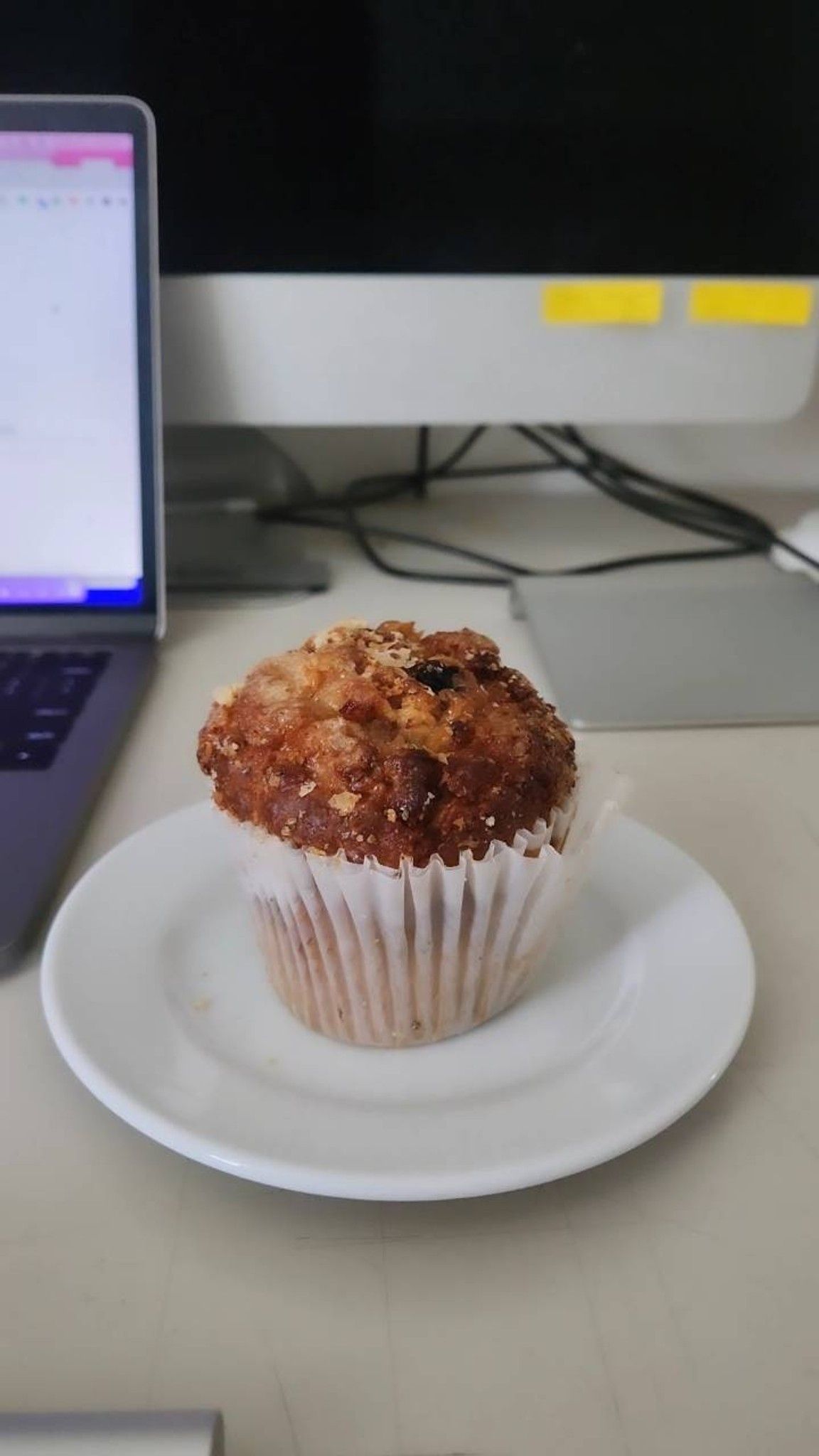 Chilling with my muffin... Good morning so far..... | Fishbowl