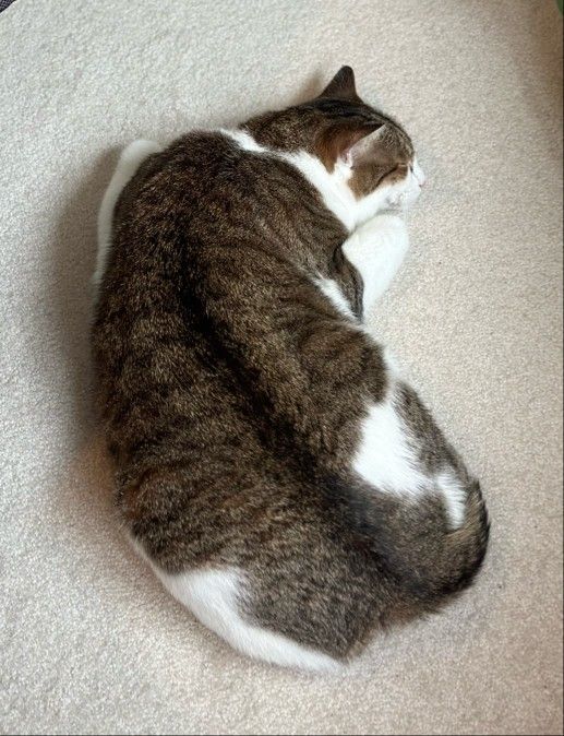 Willie strikes another “folded arms” pose….. but t... | Fishbowl