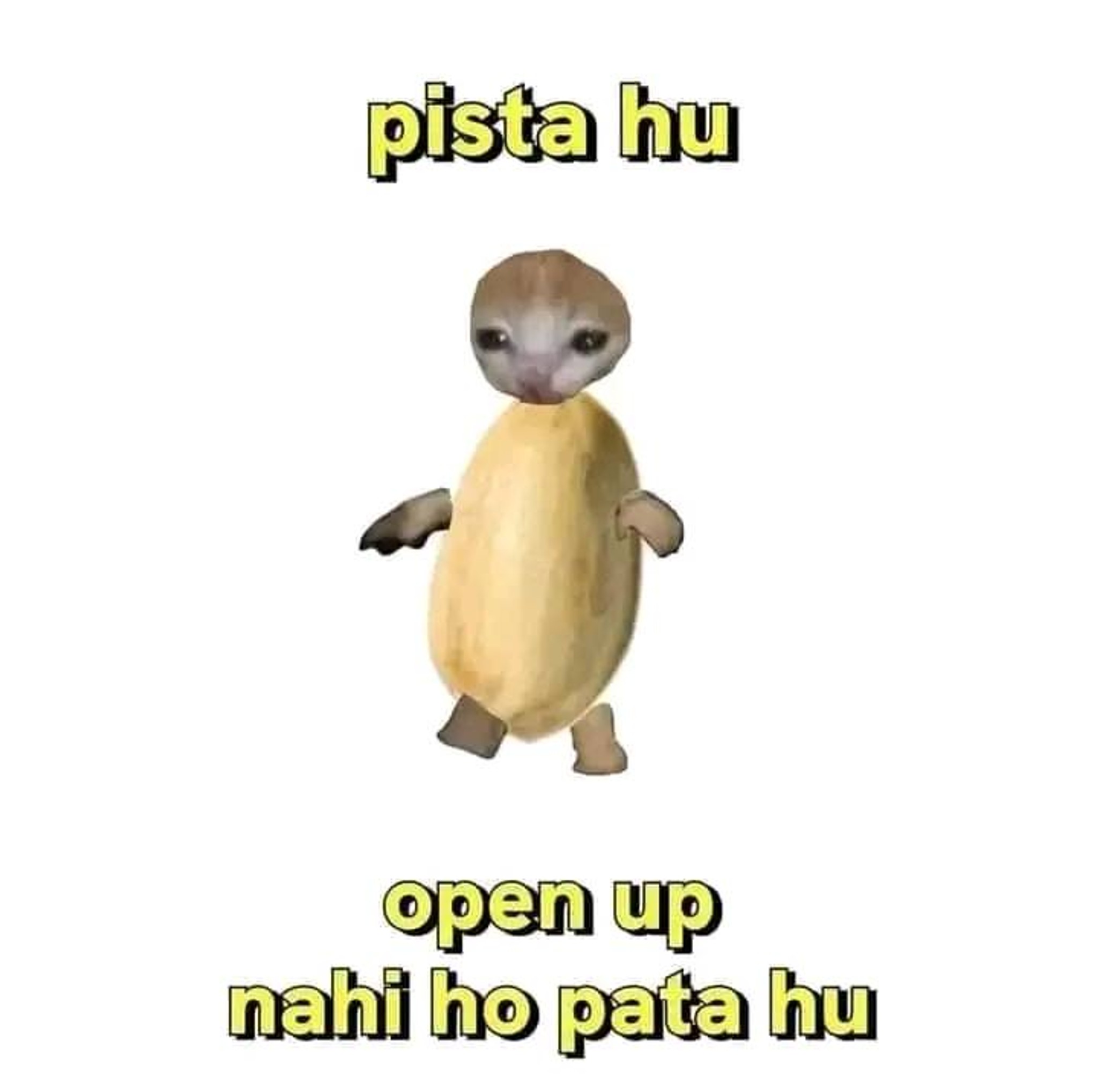 Meme: samosa hu.... | Fishbowl