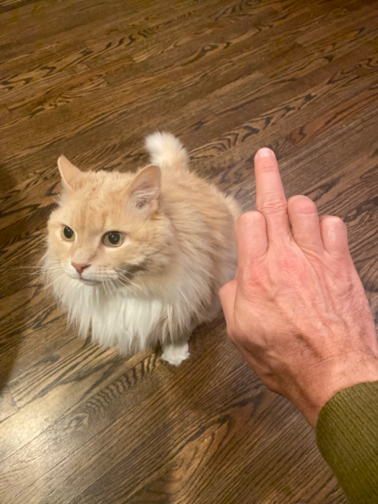 I hate it when people put their middle finger up i... | Fishbowl