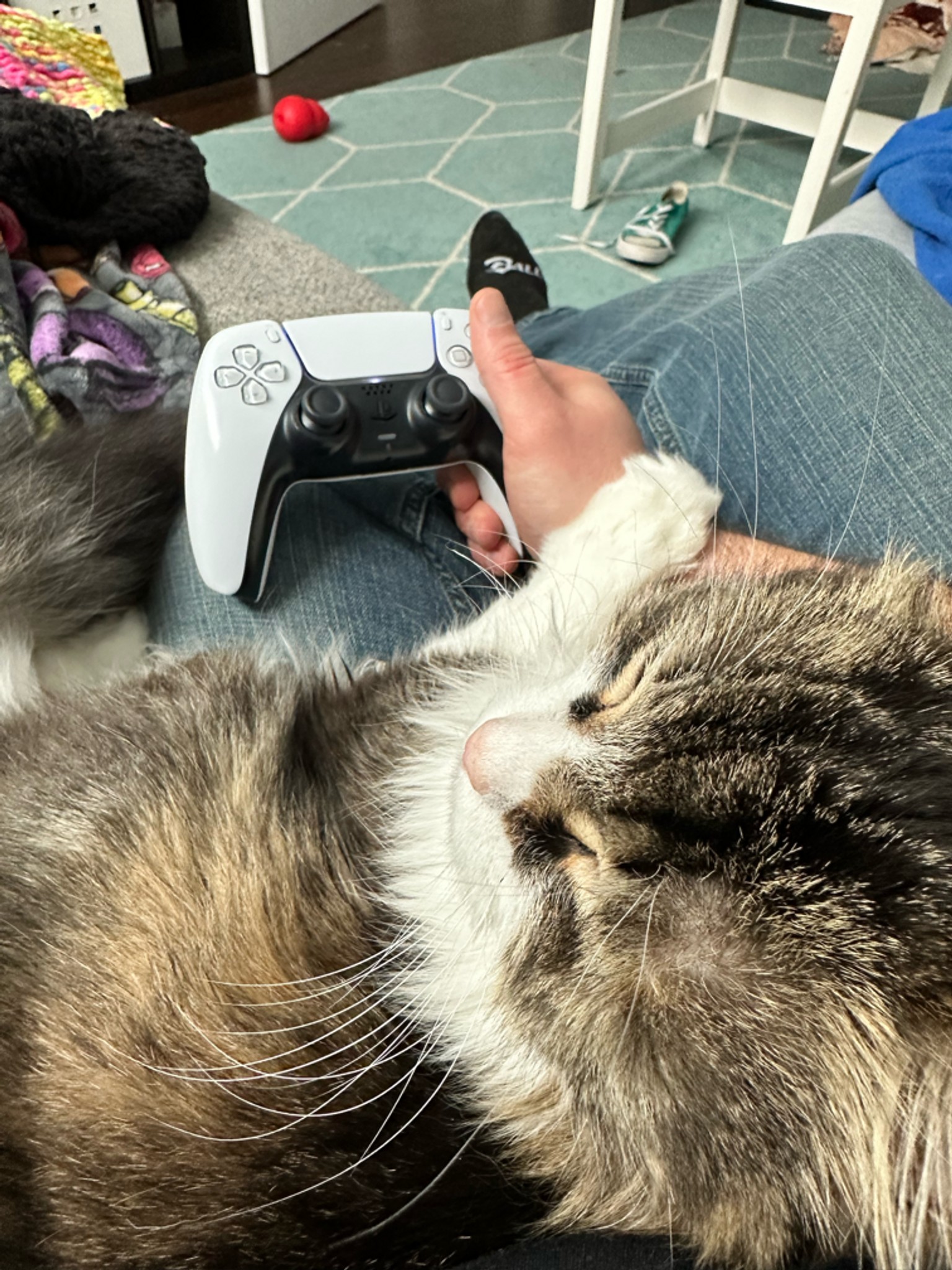 Best way to spend a lunch break | Fishbowl