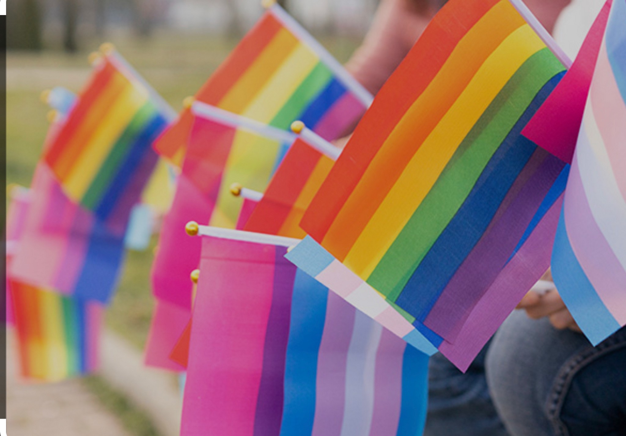 Happy Pride month to all my fellow LGBTQ+ educators and our allies ...