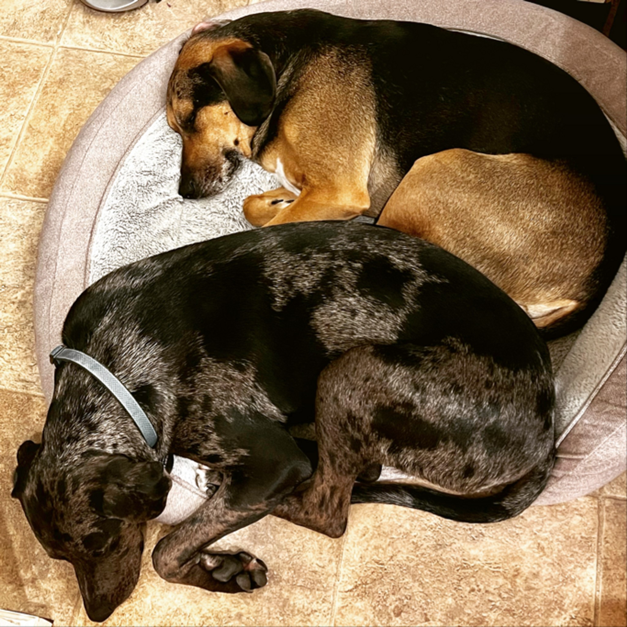 What the hell do I do with all this extra medication from my retrieval ...