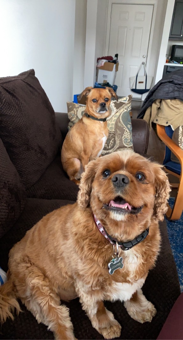 We have a friend for the weekend! The chunker in t... | Fishbowl