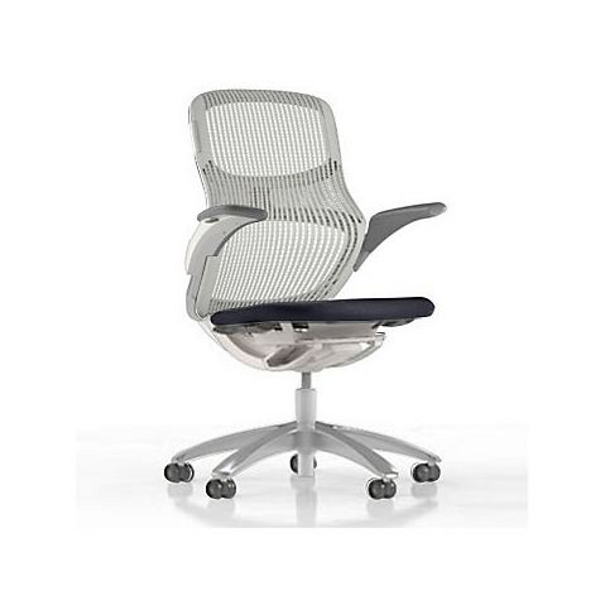 Best ergonomic office chair under $300. Go! | Fishbowl