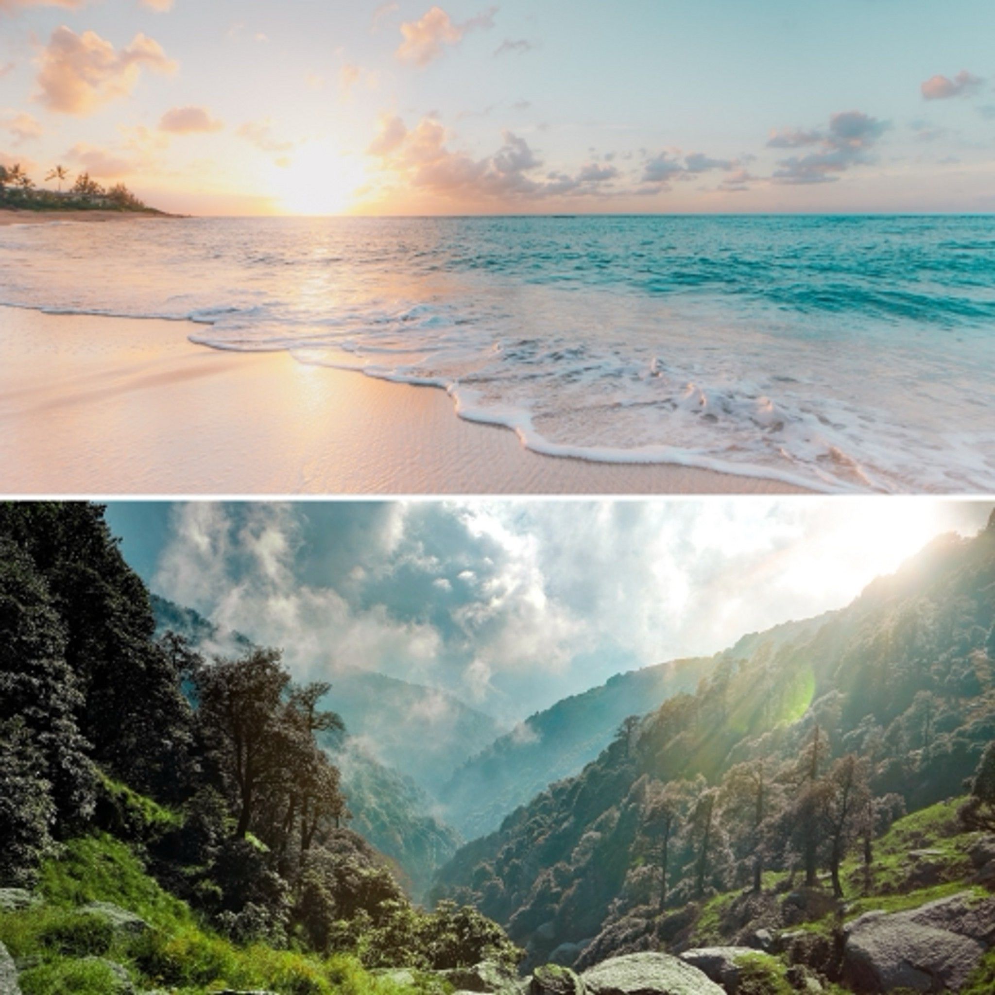 Beach vs mountains: which do you prefer? And why? | Fishbowl