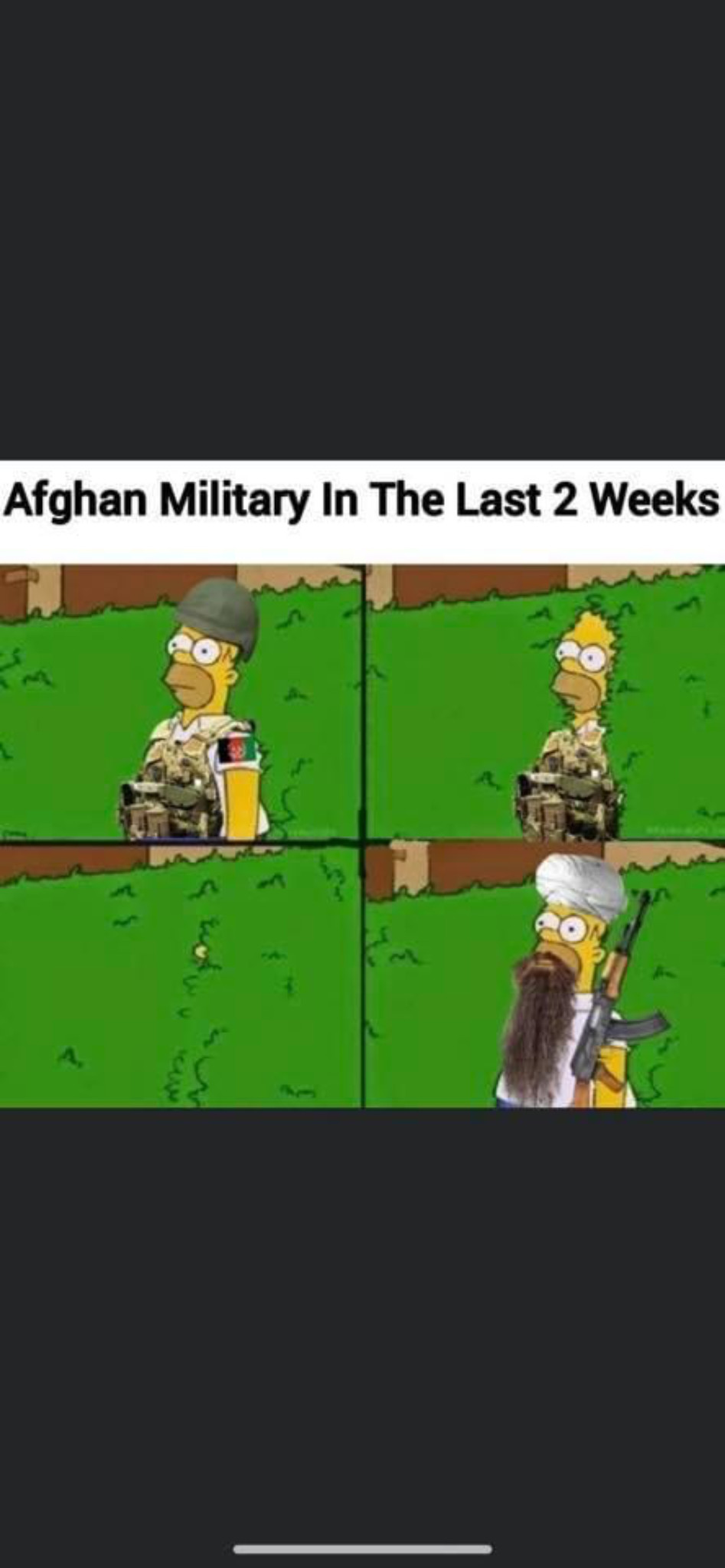 The Afghan army perfectly summarized in this meme.... | Fishbowl