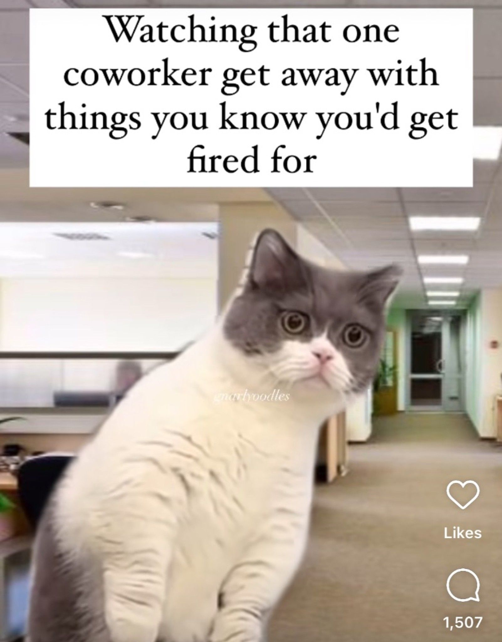 Healthcare Administrators/Healthcare Leadership bowl | Glassdoor