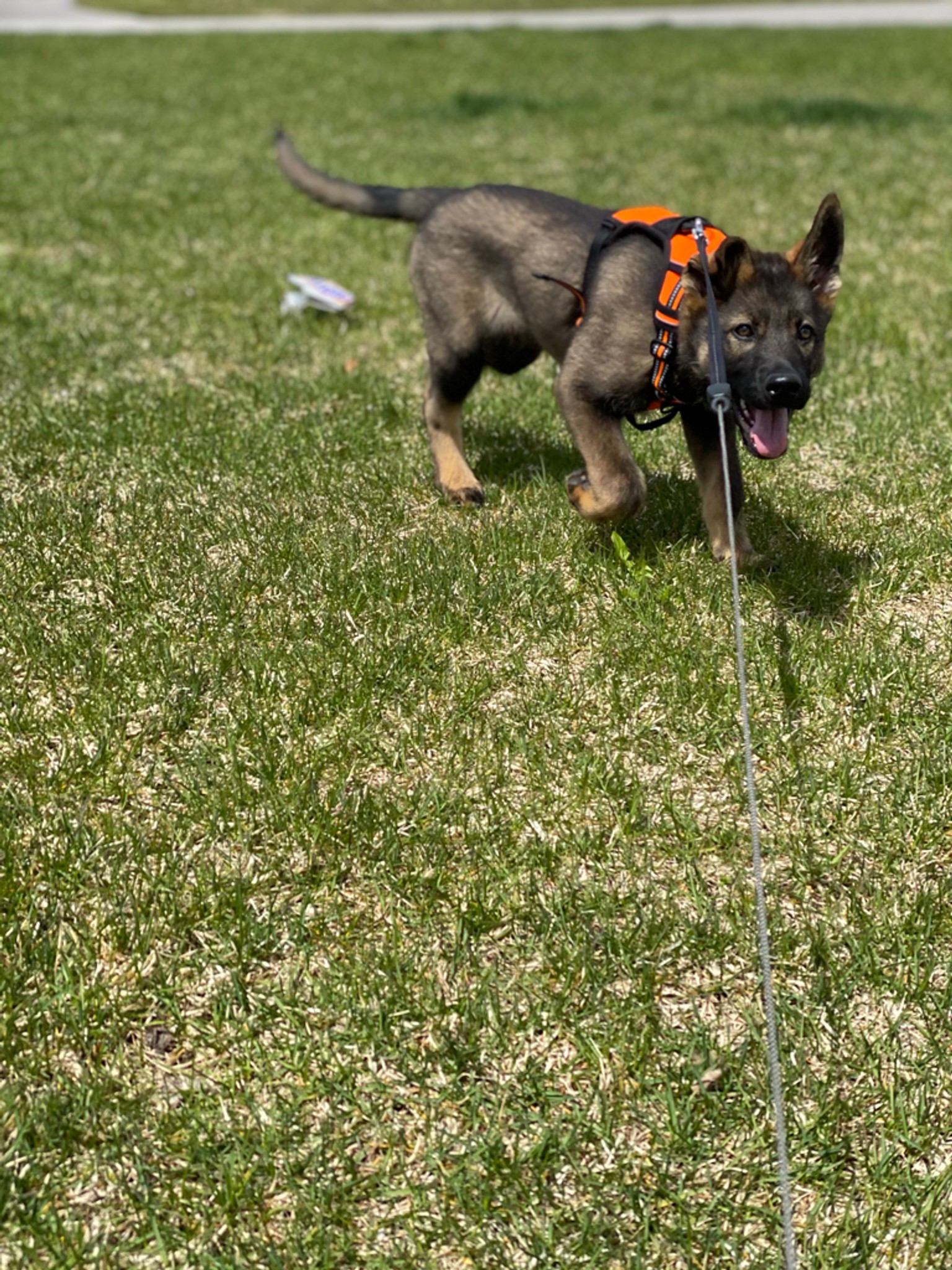 Hello Guys, I accepted the offer letter from Accenture recently and I ...