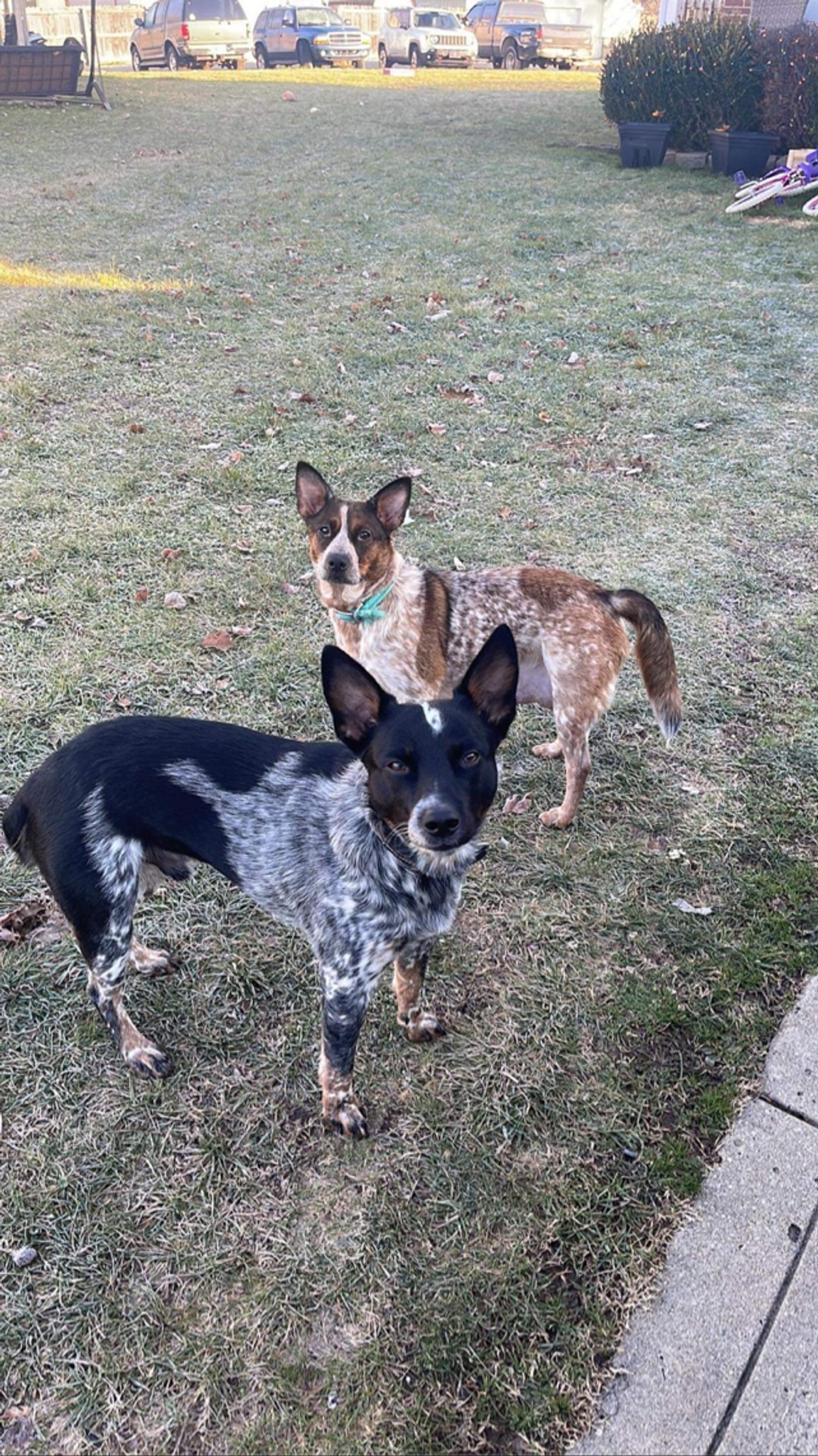 Hi Folks, I have accepted TCS offer letter. But what if I will not join ...