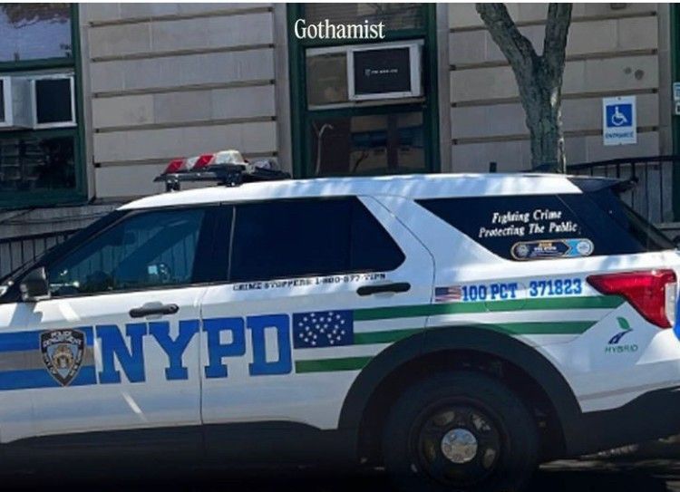 It bugs me that the green/hybrid NYPD cars are usi... | Fishbowl