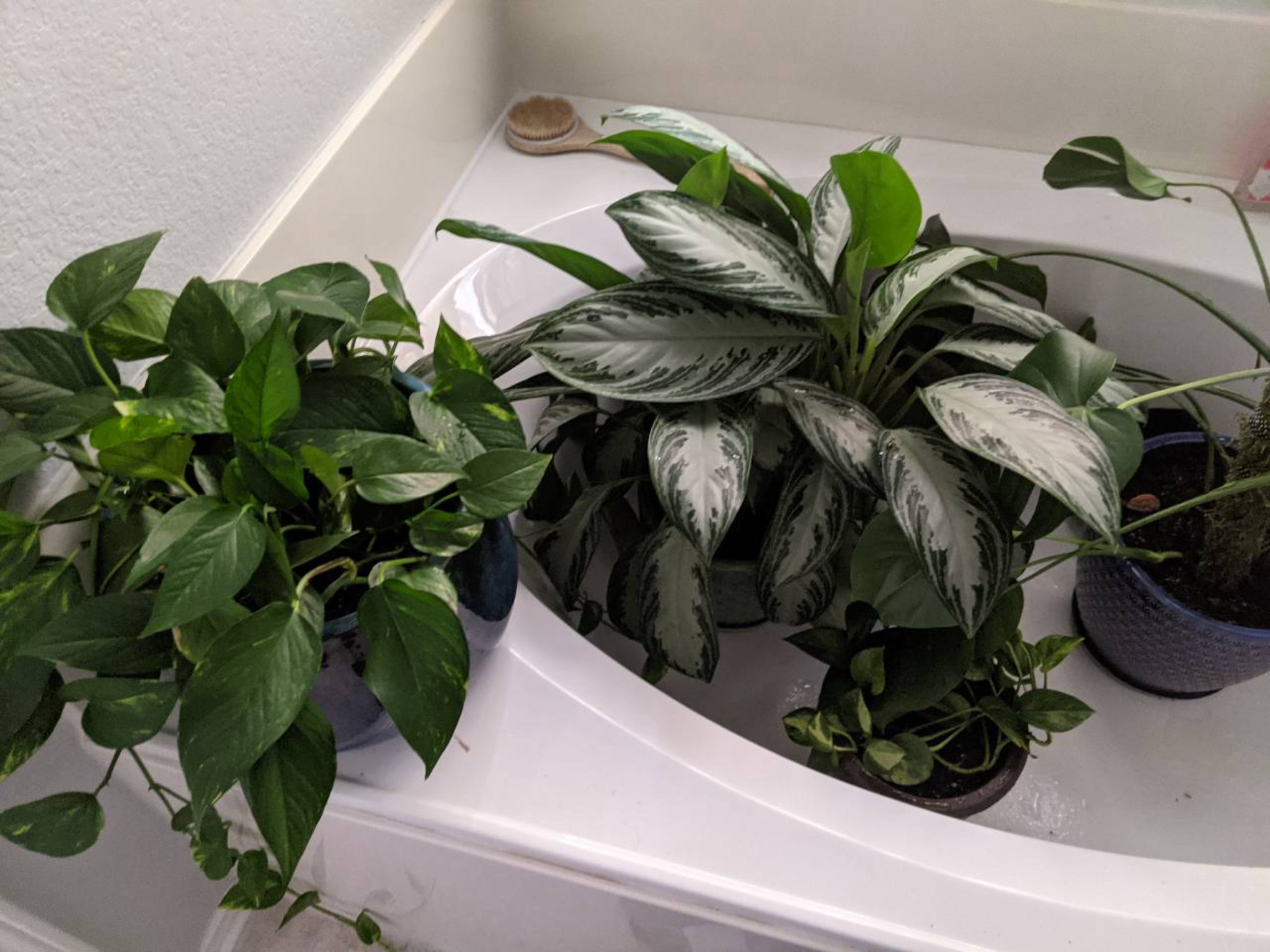 I have joined Accenture in Jan 2023 and cleared techleap school 2 ...