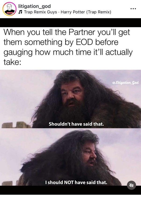 Funny Law Memes
