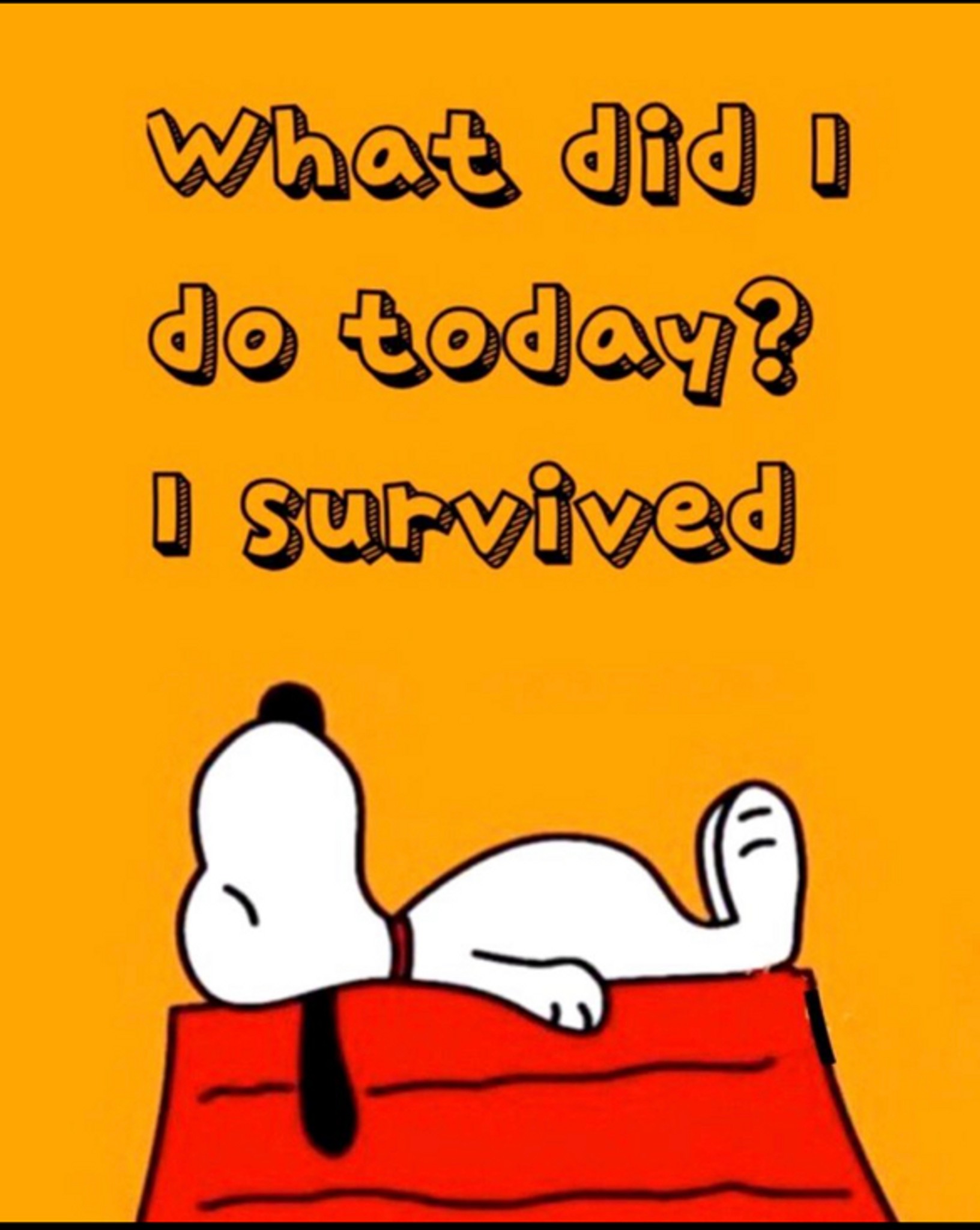 First of 3 teacher work days starts tomorrow and I’m actually looking ...