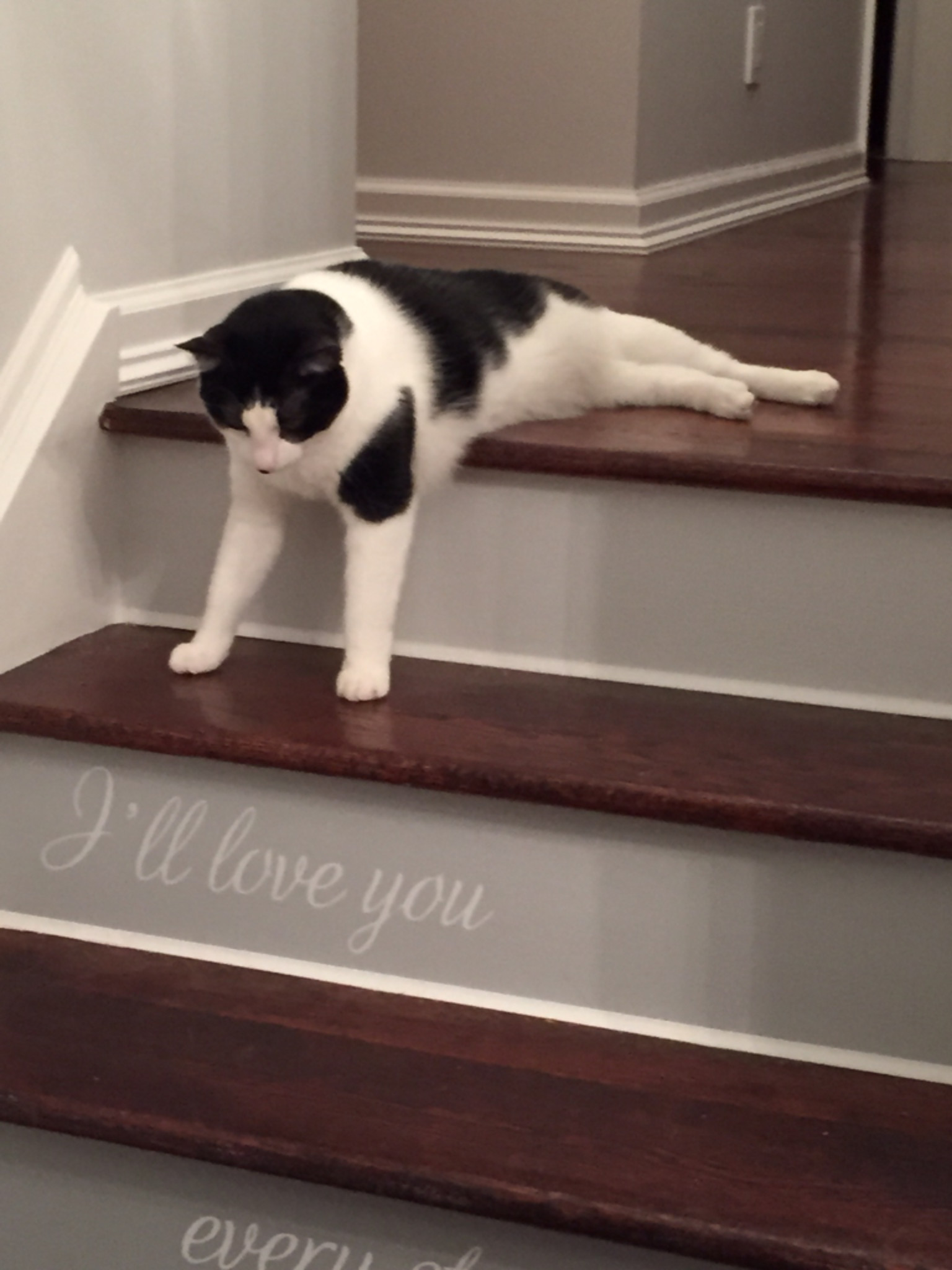 For this week's theme, post your favorite photo of... | Fishbowl